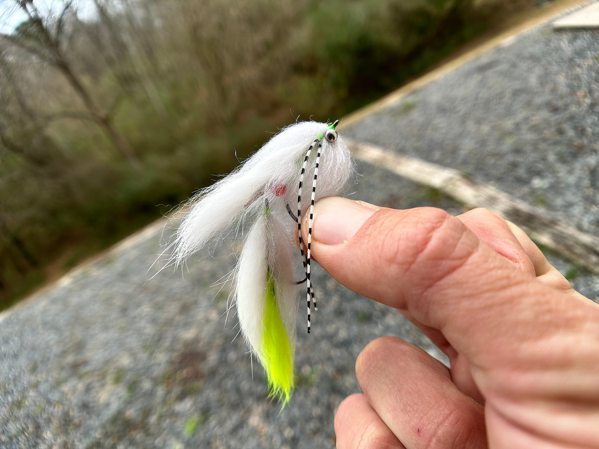 Two Tone Pool Shark(multiple colors) – Small Batch Bugs