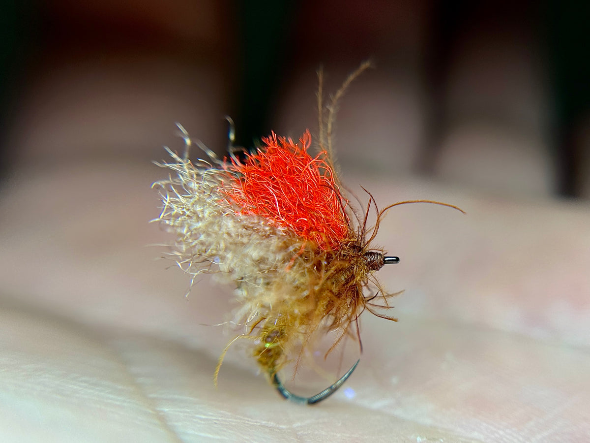 Drop Top Caddis – Small Batch Bugs