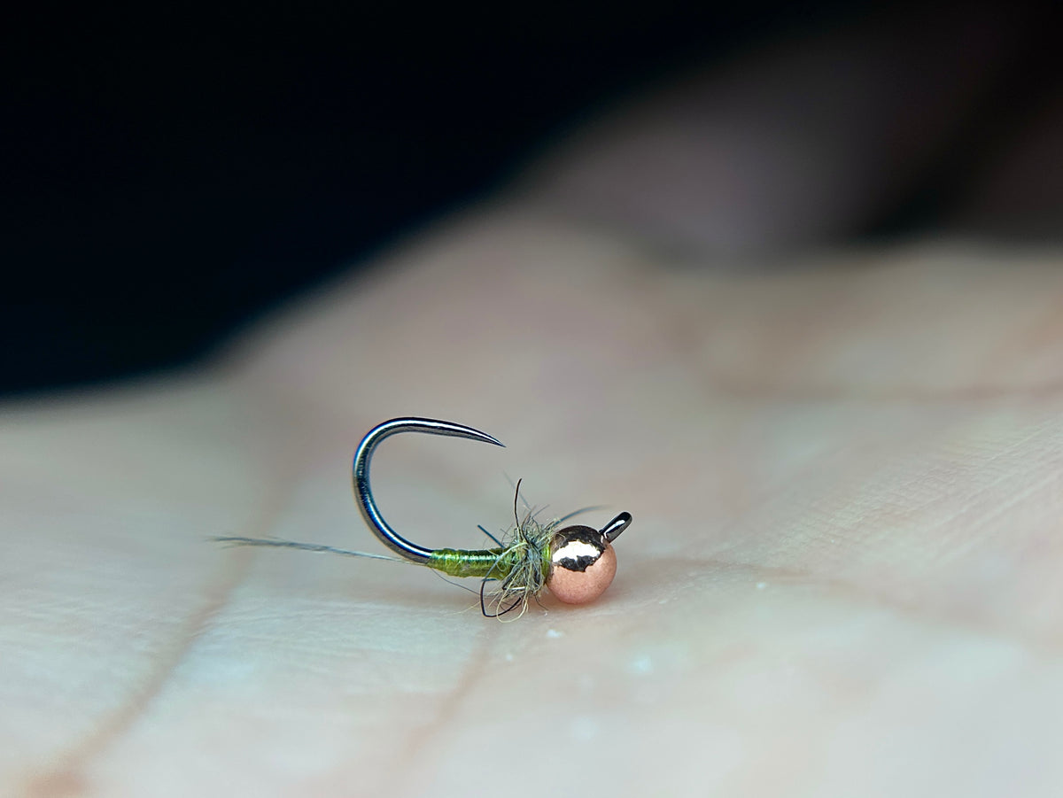 France Fly(multiple colors) – Small Batch Bugs