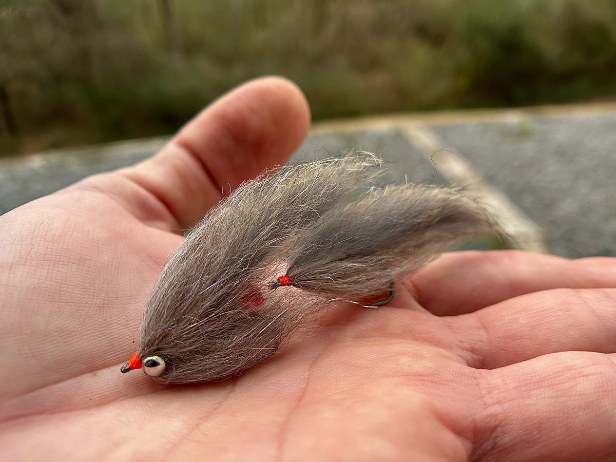 Pool Shark (mult. colors) – Small Batch Bugs