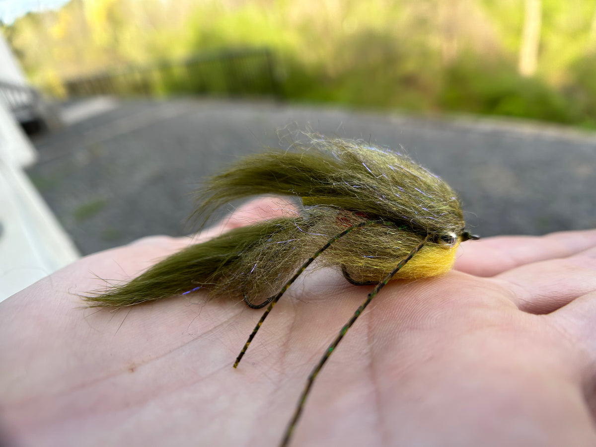 Articulated Pool Shark – Small Batch Bugs